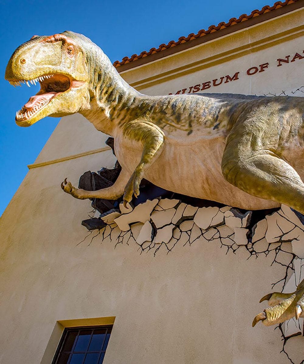 Things To Do In Phoenix Arizona | Arizona Grand Resort & Spa